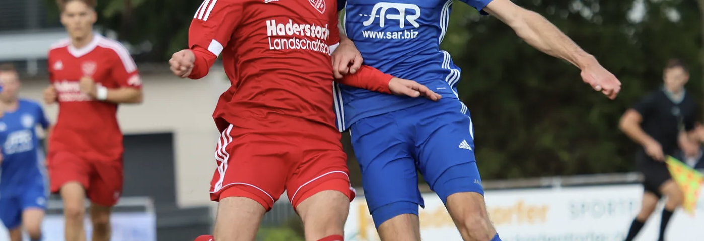 FC DINGOLFING - Homepage des FC Dingolfing e.V. 1918