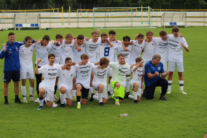 FC DINGOLFING - Homepage des FC Dingolfing e.V. 1918