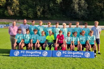 FC DINGOLFING - Homepage des FC Dingolfing e.V. 1918